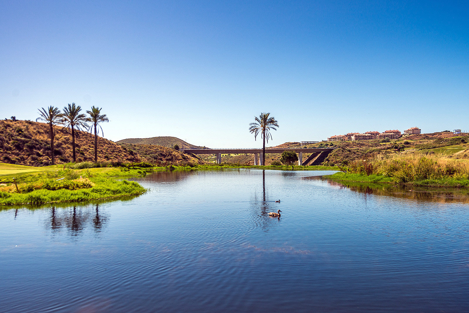 Calanova Golf Club : Valle del Golf, La Cala de Mijas